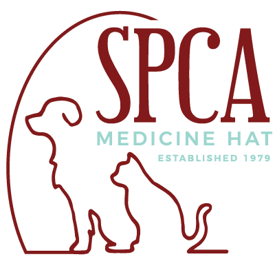 Programs SPCA – Medicine Hat SPCA