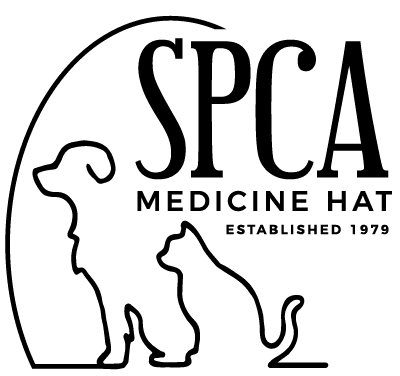 About SPCA – Medicine Hat SPCA